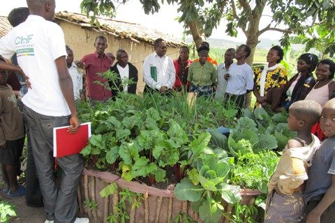 USAID/Rwanda Collaboration, Learning, and Adapting Activity – ME&A