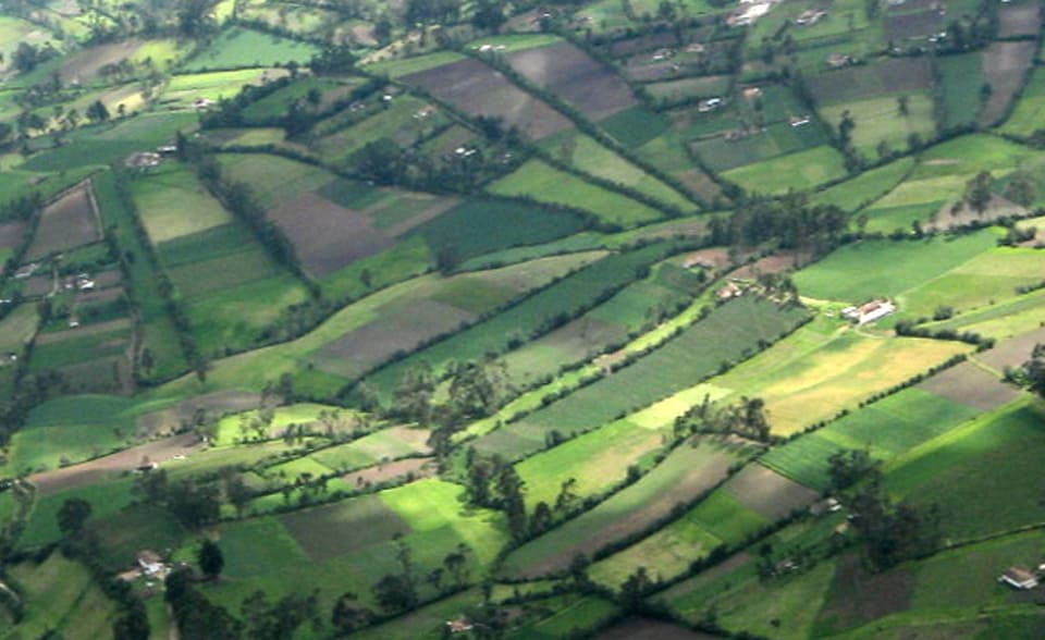 USAID/Colombia Land and Rural Development Program (LRDP) – ME&A