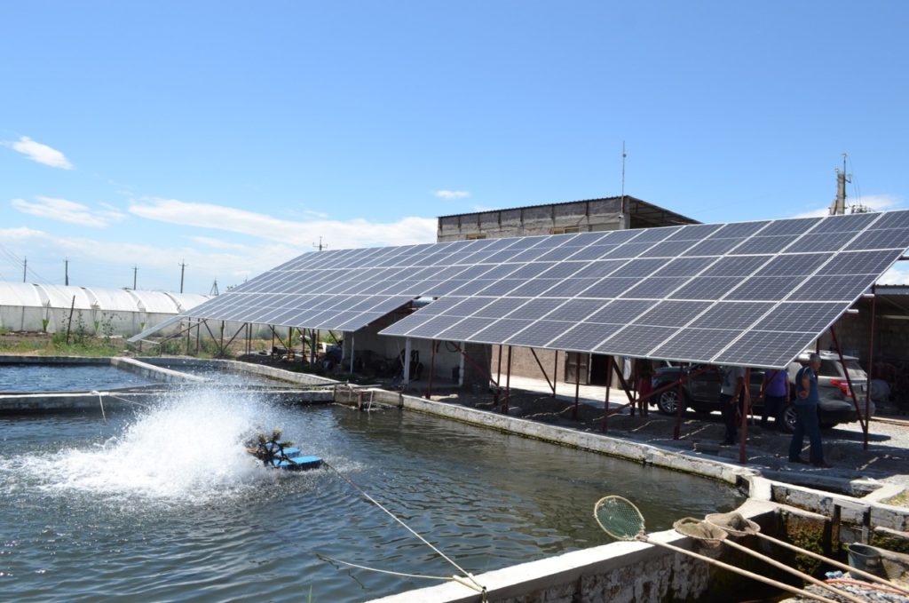 Solar Application Reduces Energy Consumption at Fish Farm in Armenia's ...