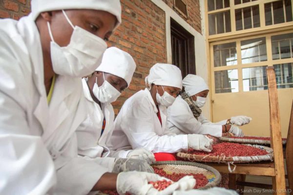 USAID/Rwanda Collaboration, Learning, and Adapting Activity – ME&A